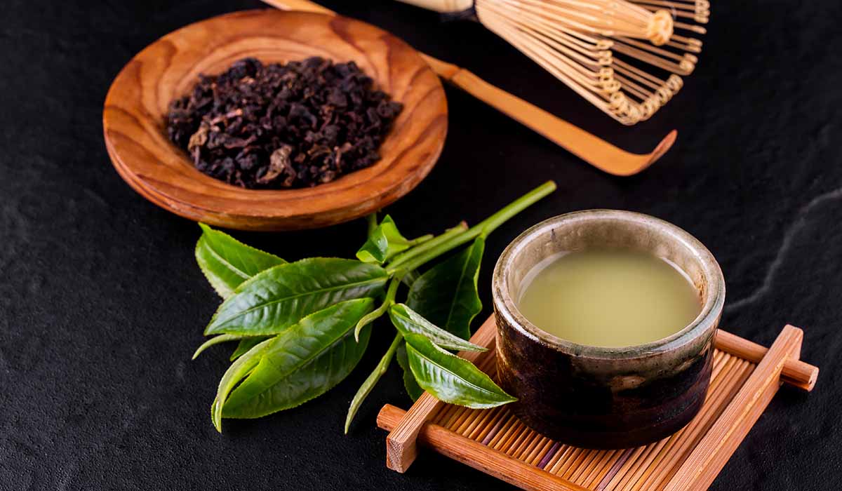 Macam-Macam Teh Hijau: Ragam Rasa dan Aroma dalam Setiap Seduhan