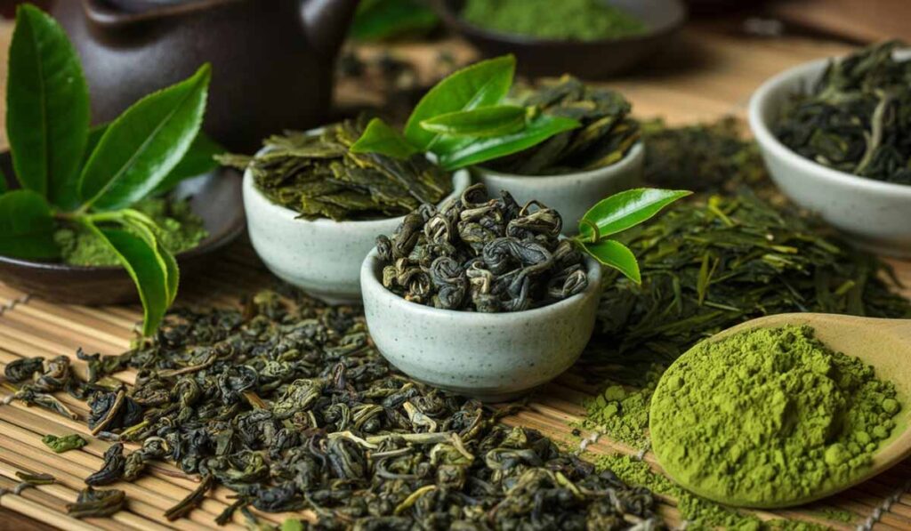 Macam-Macam Teh Hijau: Ragam Rasa dan Aroma dalam Setiap Seduhan