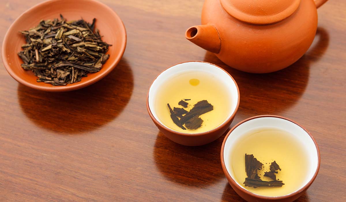 Ocha Tea: Rahasia Kesehatan dan Tradisi Jepang yang Mendunia